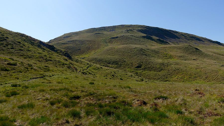 Pumlumon Central